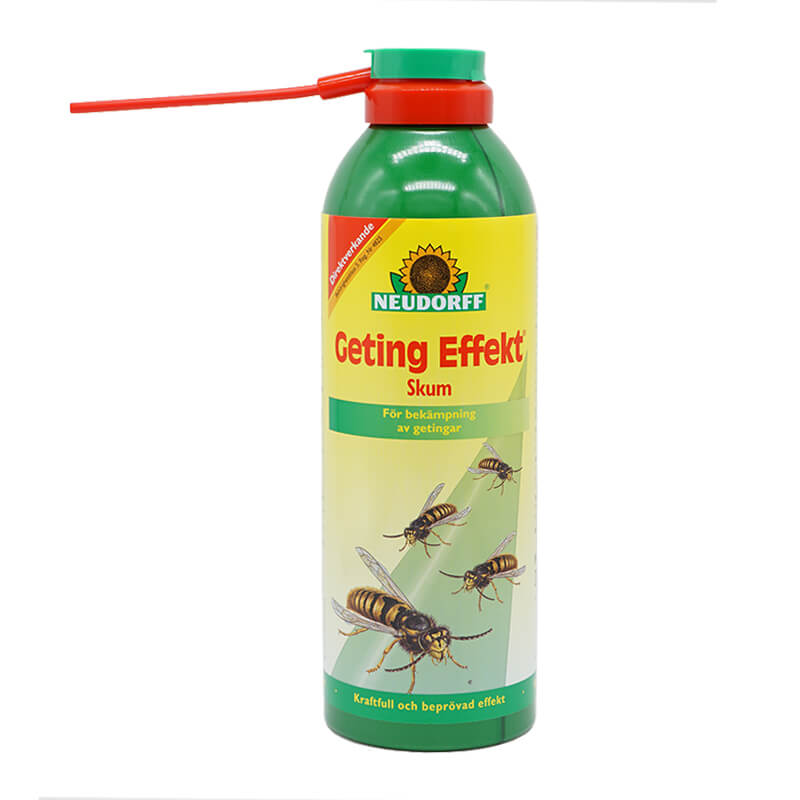 Hvepse » Den ultimative guide (2022) - Skadedyrsexperten.dk