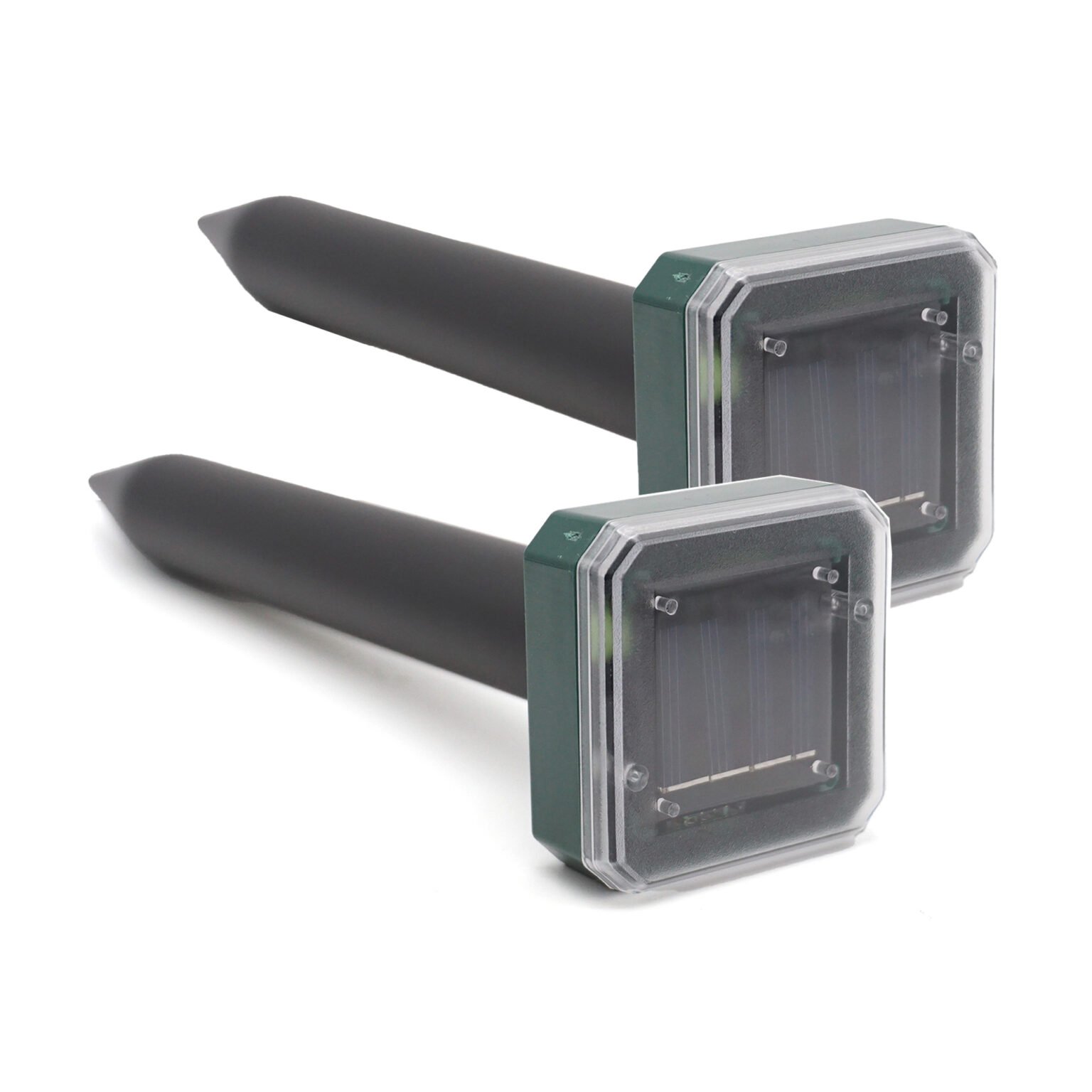 Hugorme: Den ultimative guide (2025) - Skadedyrsexperten.dk