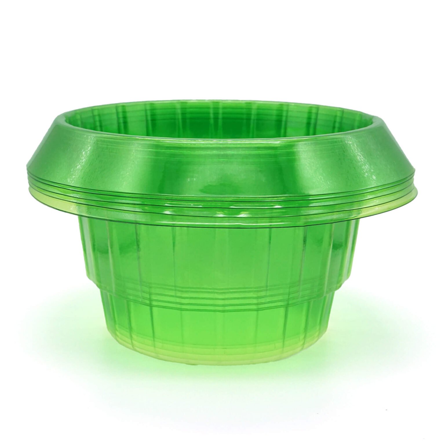 Snegle: Den ultimative guide (2025) - Skadedyrsexperten.dk