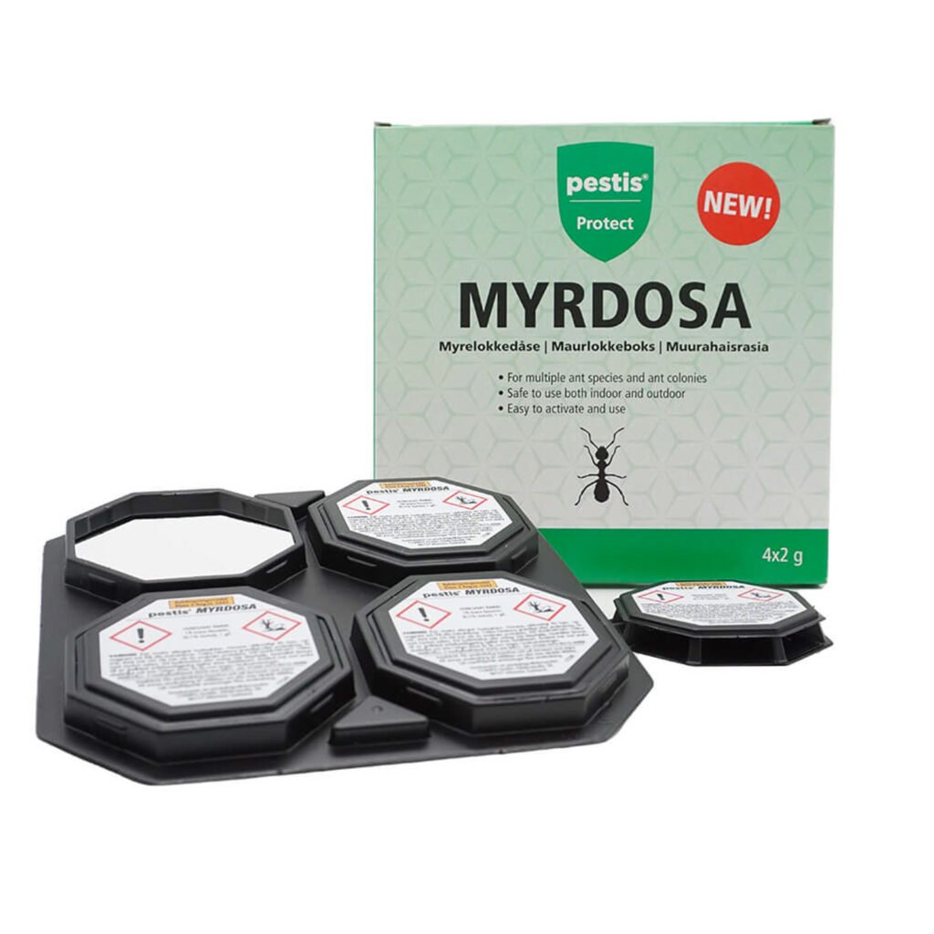 Myrer: Den ultimative guide (2025) - Skadedyrsexperten.dk